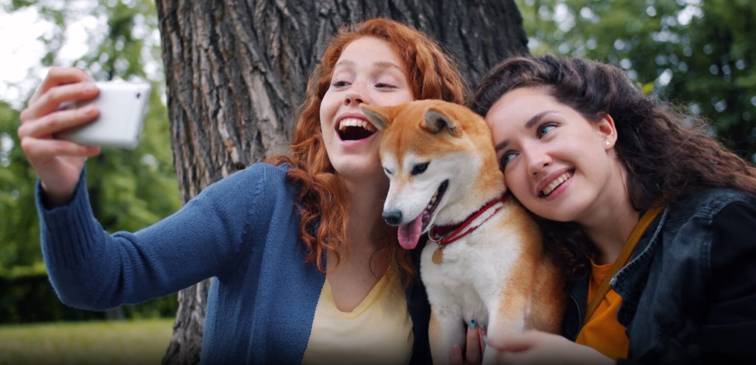 5 Healthy Coping Strategies After A Traumatic Event: Emotional Healing